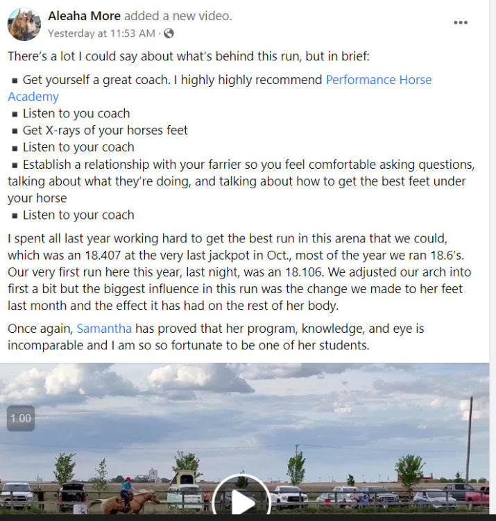 A-Team - The Performance Horse Academy